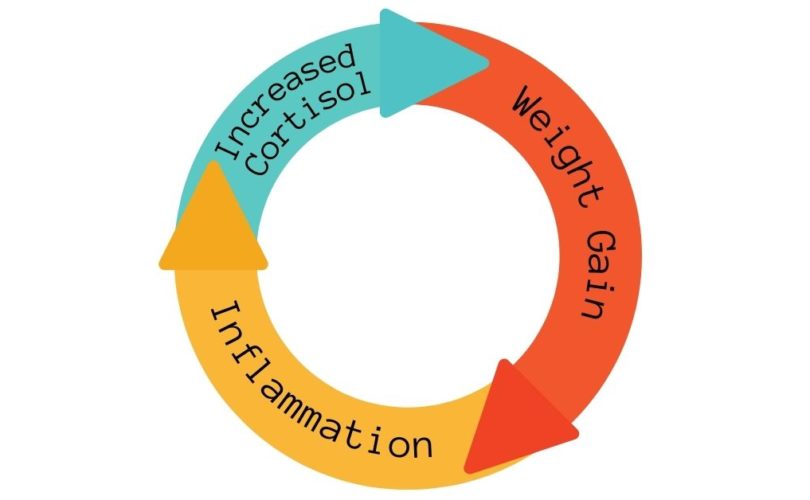 The Inflammation – Cortisol – Weight Gain Cycle - Honor Thy Glow The Inflammation – Cortisol – Weight Gain Cycle - Honor Thy Glow